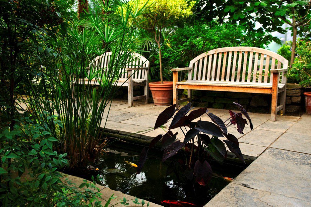 Managing Mosquitoes Around Your Pond