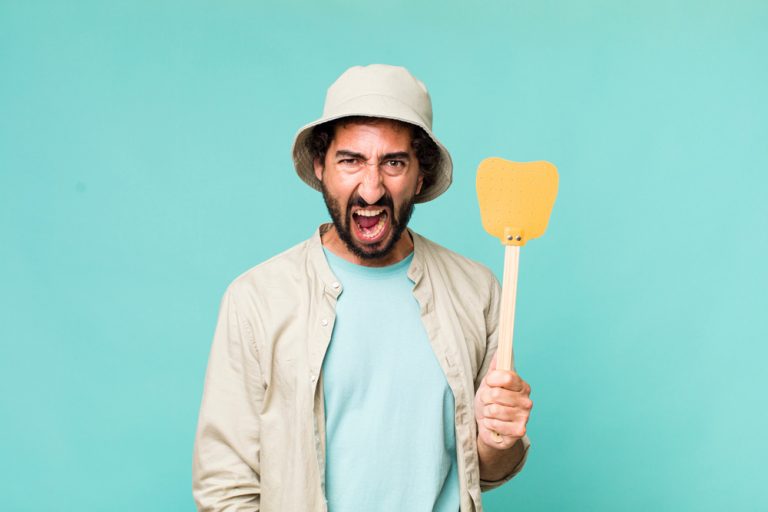 Why It Is So Hard to Swat a Fly? | Education & Prevention